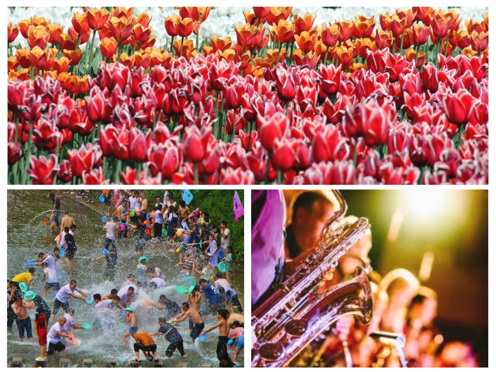 April bucket list: Holland, Thailand, USA ⋆ Up Your Valley