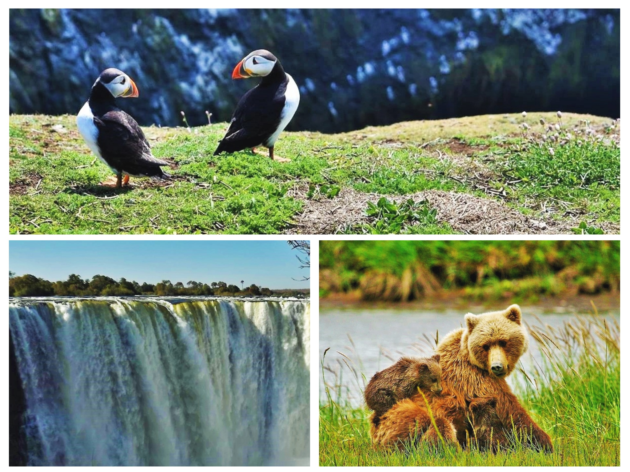 MAY DESTINATIONS FOR NATURE LOVERS ⋆ Up Your Valley